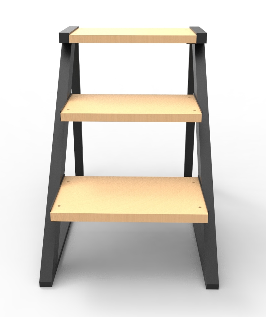 V`Noks boxing Ladder