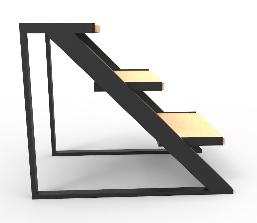 V`Noks boxing Ladder